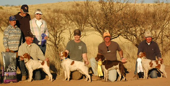 Alar Brittanys' FC Shadows In A Twist "Tripp"